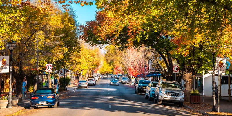 Living in Adelaide - What to Know Before Making the Move